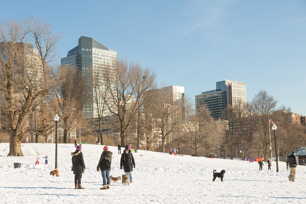 The Shady Shark: I Had No Idea the Heart of Boston Was So Cold – The ...